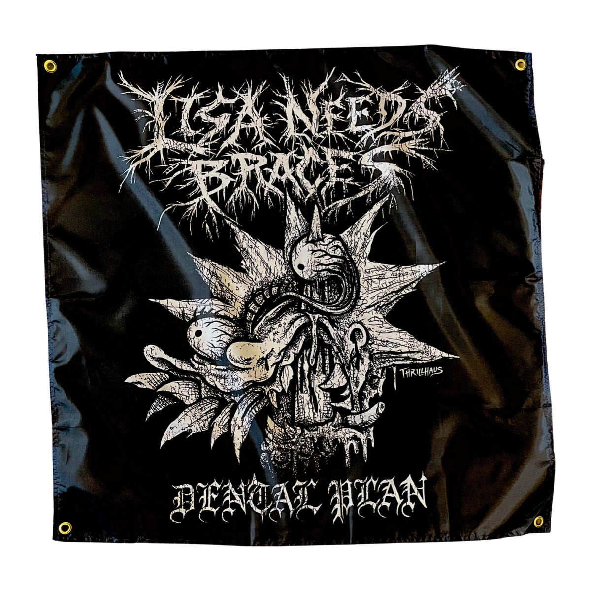 Lisa Needs Braces Dental Plan Flag – Thrillhaus